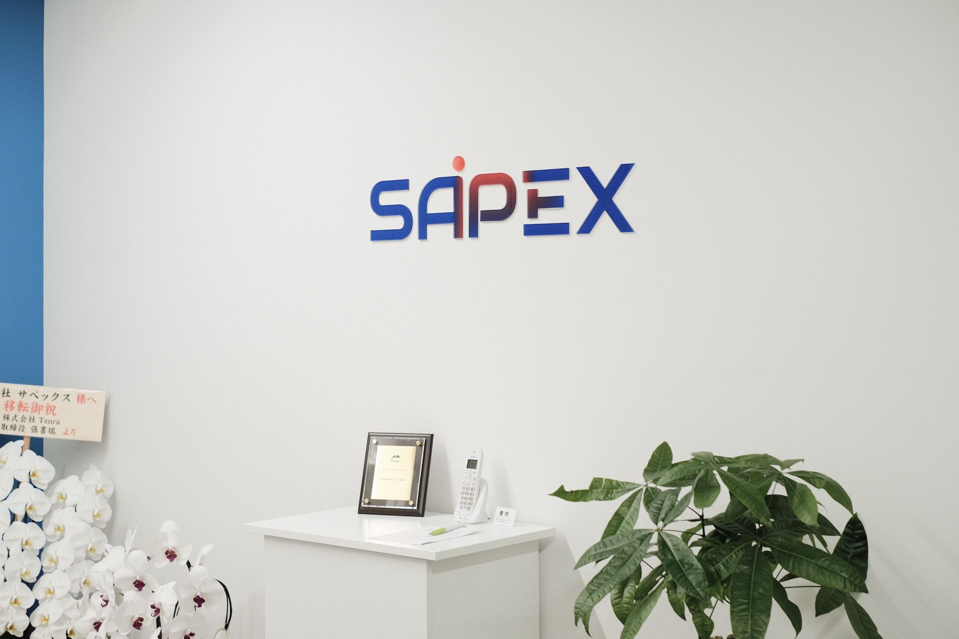 ニュース｜株式会社サベックス